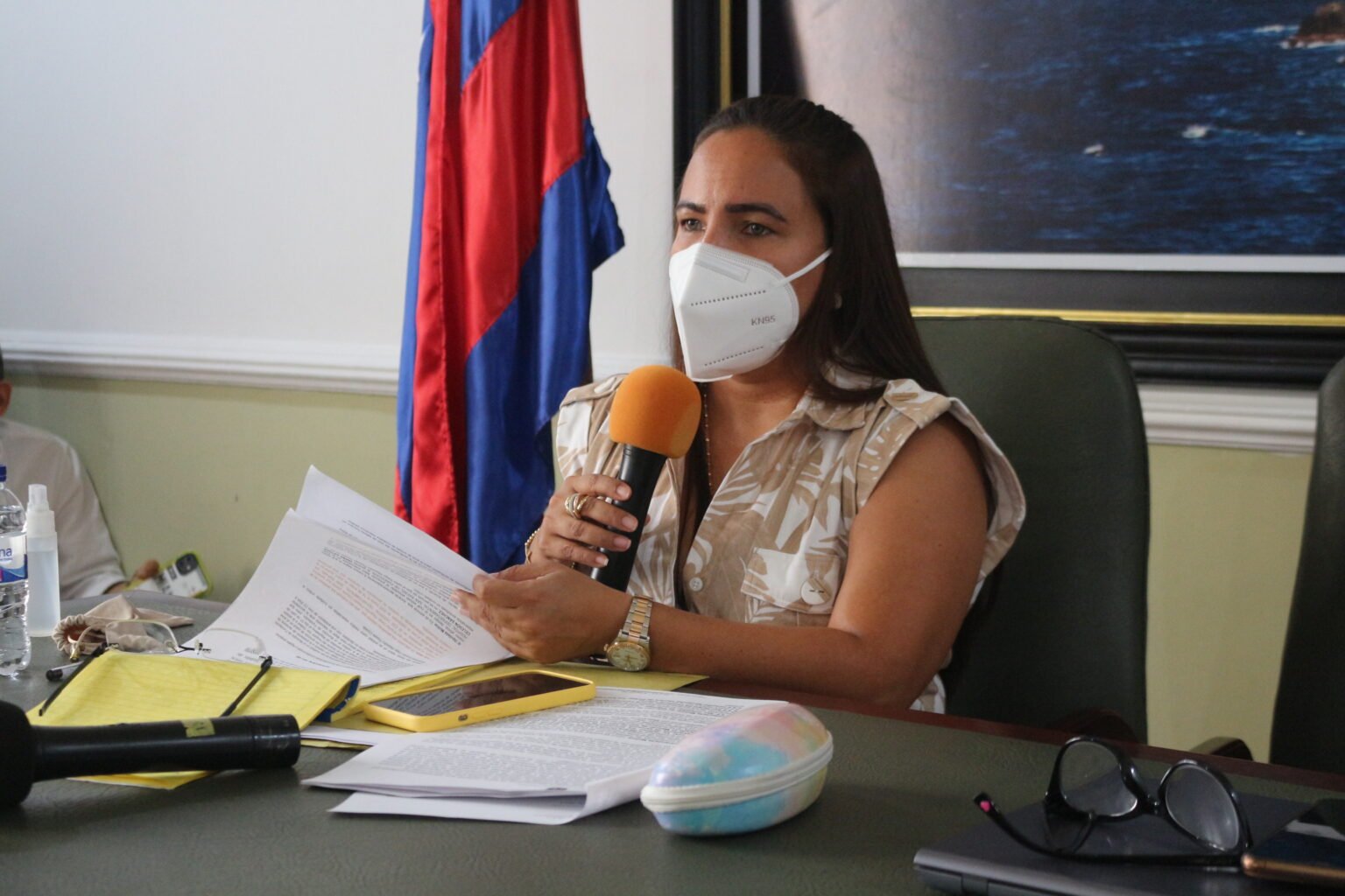 Más de $2 mil millones públicos están en riesgo: Elizabeth Molina Campo ...