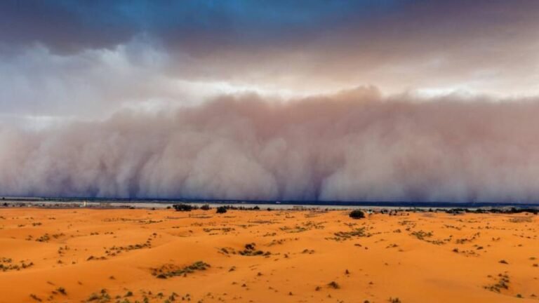 Polvo del Sahara llega a Colombia: alerta en La Guajira, Santander ...